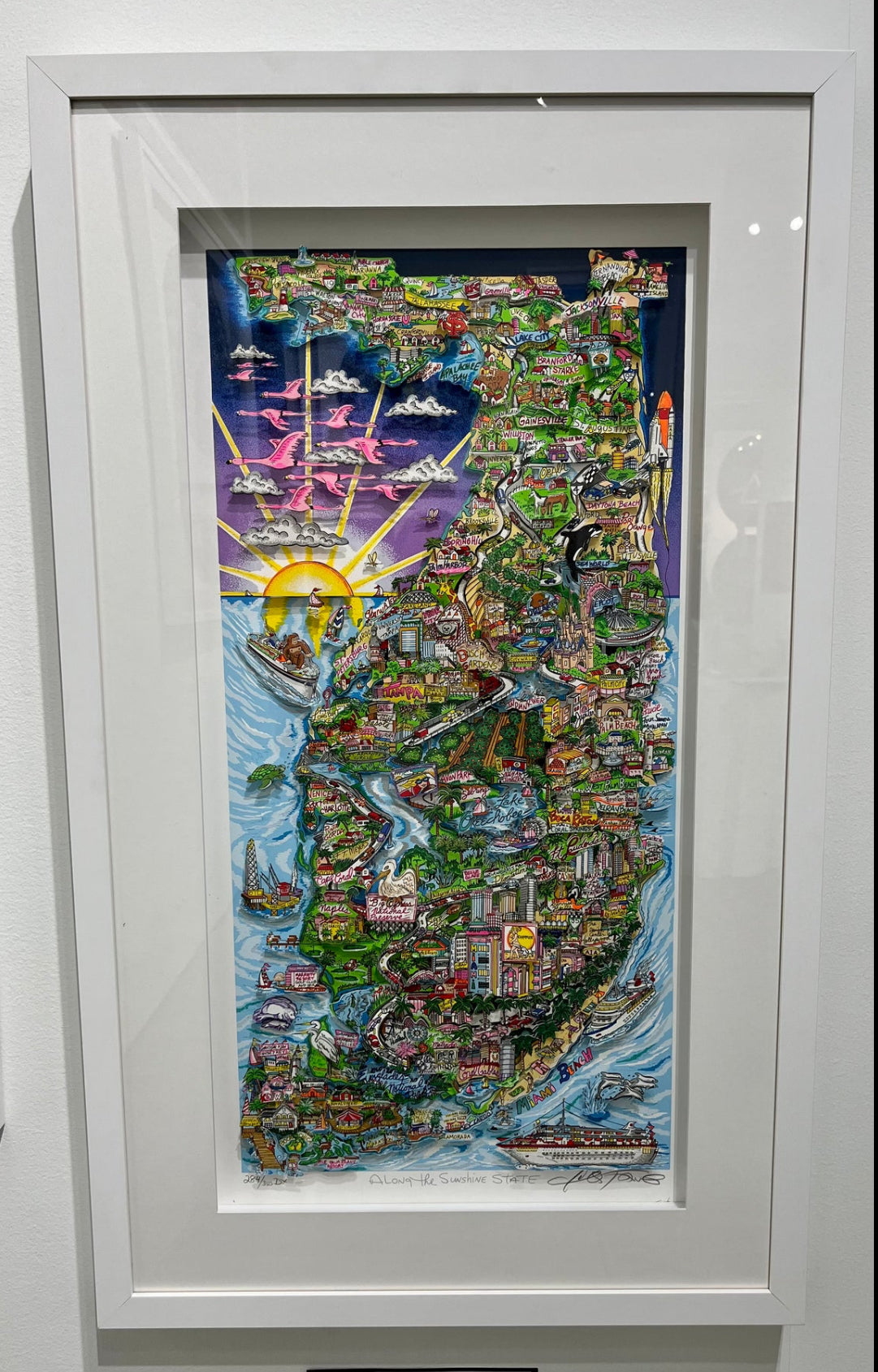 Florida Artwork | Amazing Animation